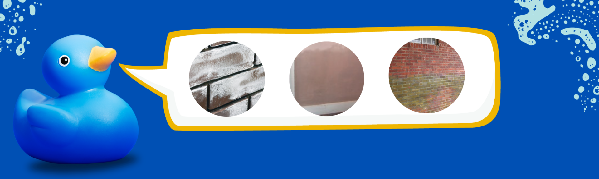 Damp & Mould - Taff Housing Association